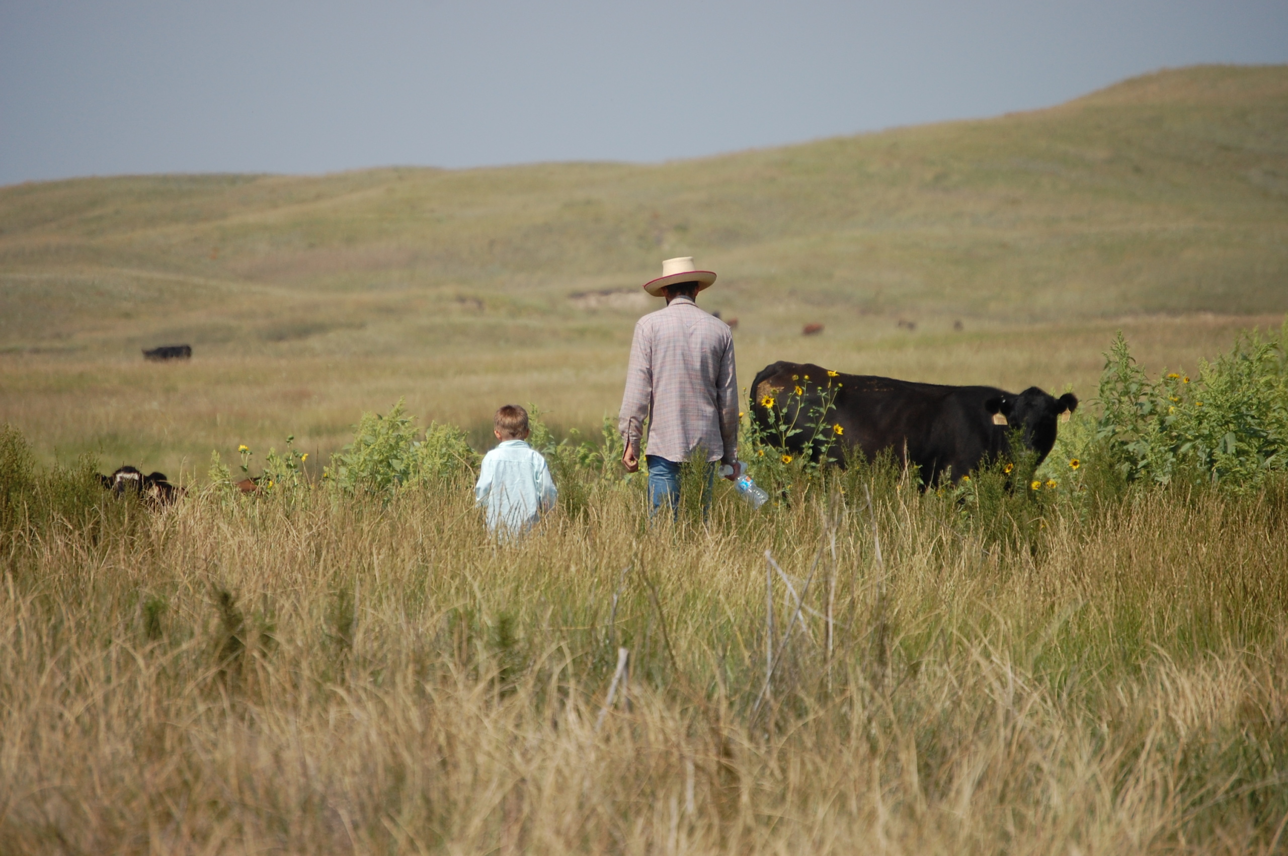 What’s in YOUR Pasture? - Working Ranch Magazine