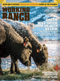 Back Issues - Working Ranch Magazine