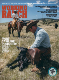 Working Ranch - Working Ranch Magazine