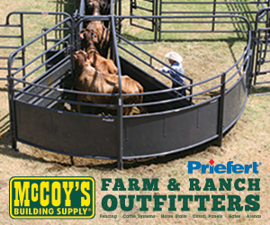 Working Ranch - Working Ranch Magazine