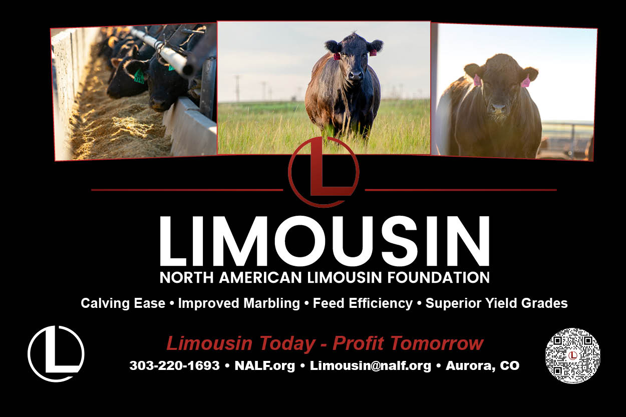 Working Ranch - Working Ranch Magazine