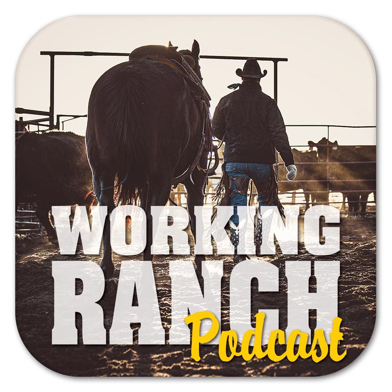 Working Ranch - Working Ranch Magazine