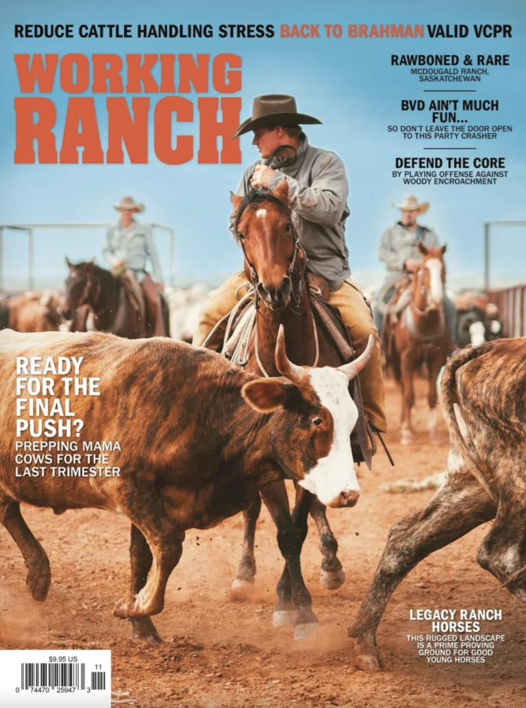 Working Ranch - Working Ranch Magazine