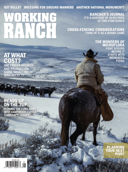Working Ranch - Working Ranch Magazine