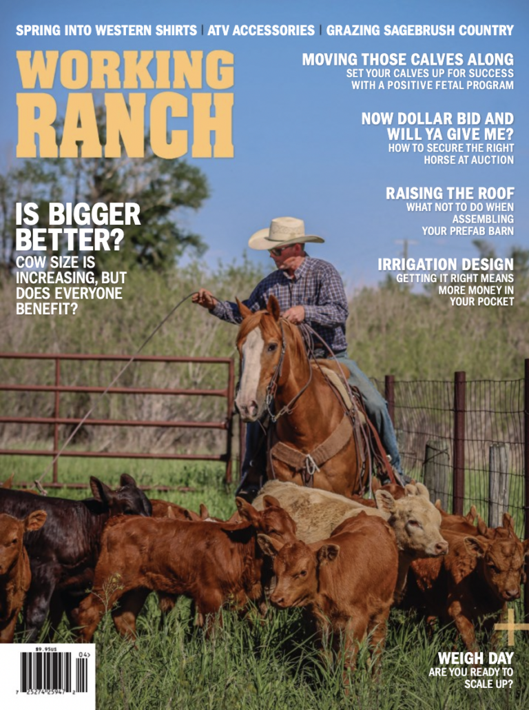 Working Ranch - Working Ranch Magazine
