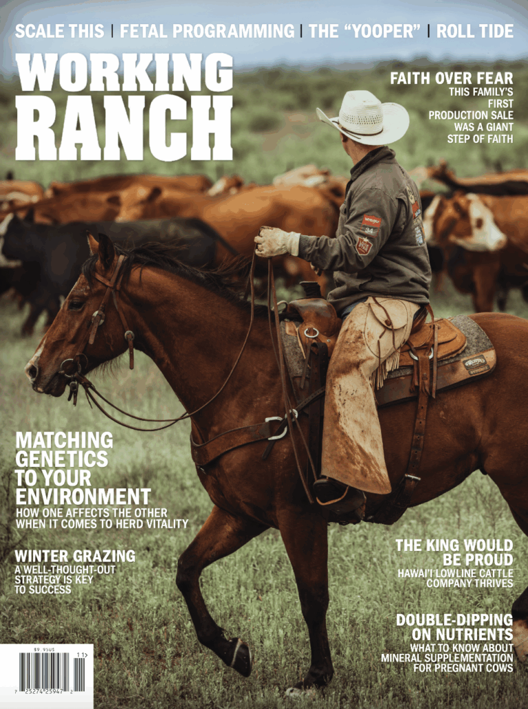 Working Ranch - Working Ranch Magazine