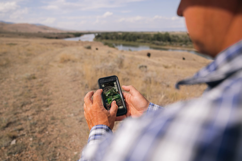 Virtual Fencing: Rethinking Grazing Management for Modern Operations ...